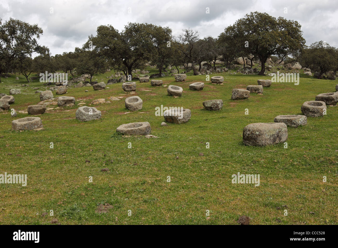 Granite bull feeders Stock Photo - Alamy