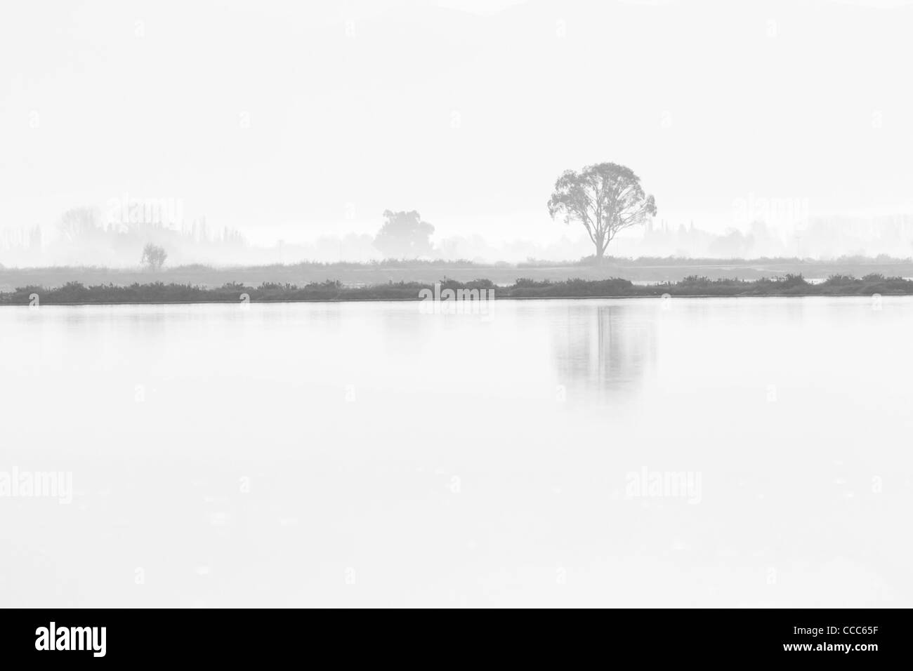 A misty morning in the lagoon of Mesologgi, Greece Stock Photo - Alamy