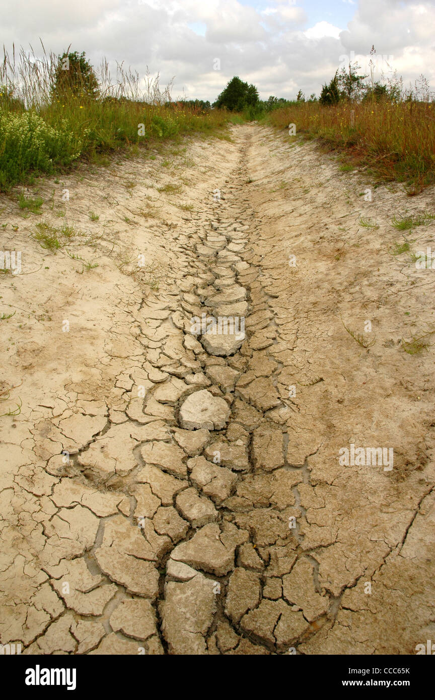 Trench damage hi-res stock photography and images - Alamy