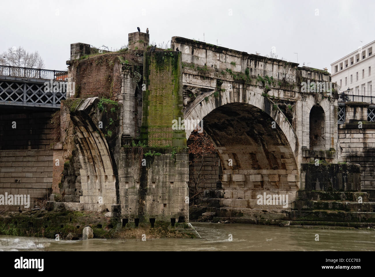 Italia Roma isola tiberina ponte rotto ponte santa maria archeologia ...