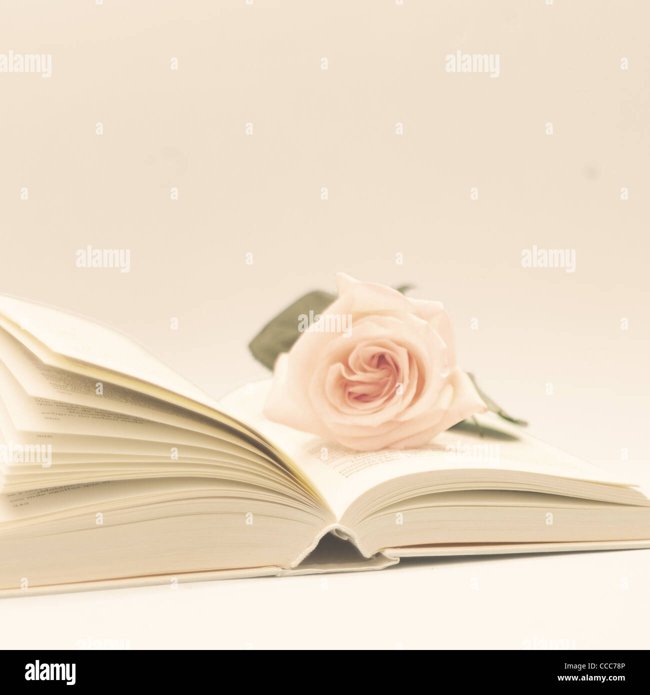 Book paper rose hi-res stock photography and images - Alamy