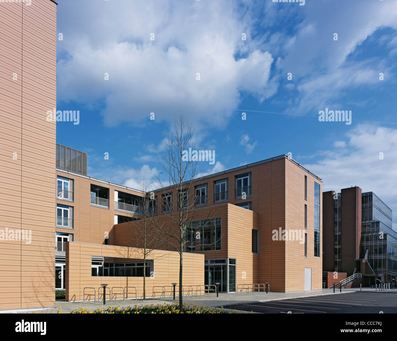 Cambridge University History Faculty High Resolution Stock Photography ...