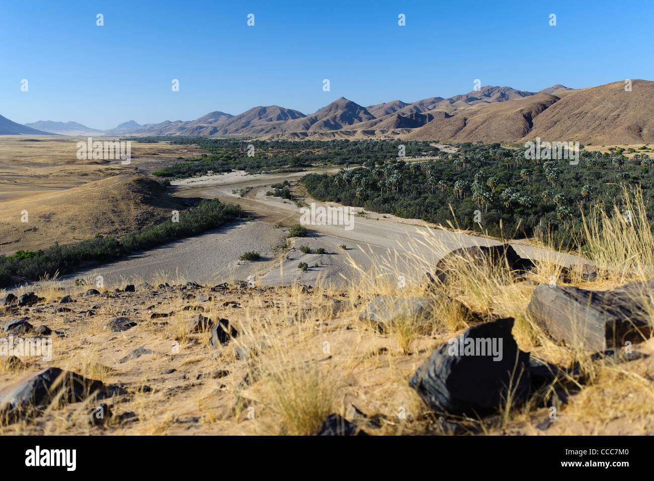 Jan joubert hi-res stock photography and images - Alamy