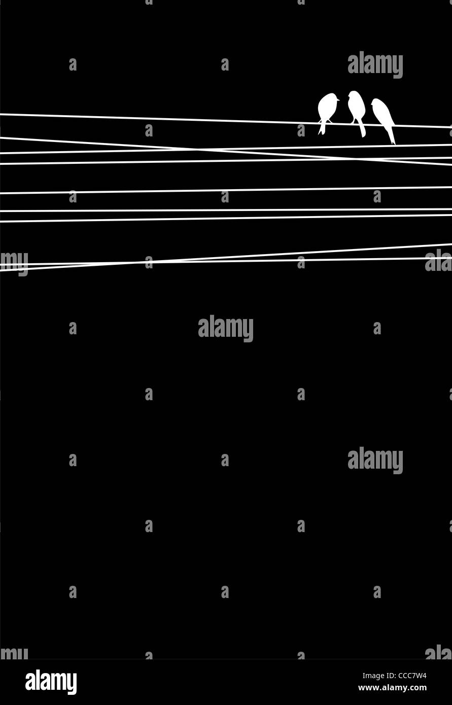 High contrast cables and birds background. Vector file available Stock ...