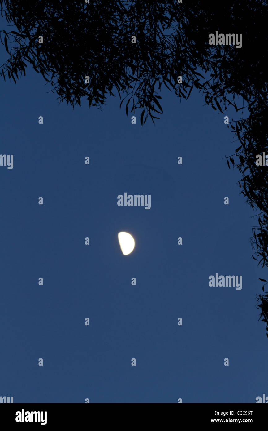 Half moon symbol hi-res stock photography and images - Alamy