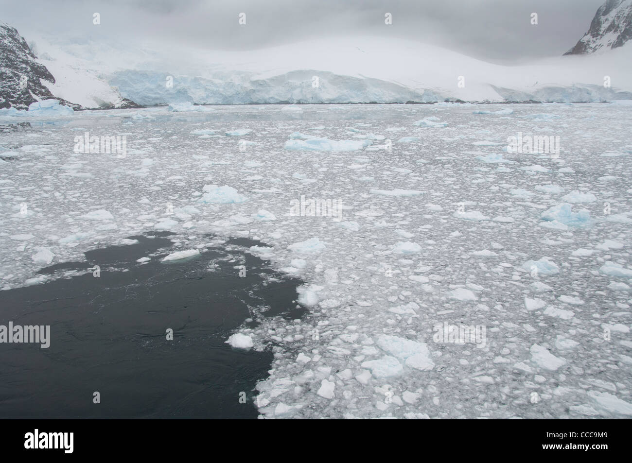Antarctica, Antarctic Peninsula. Paradise Harbour (aka Paradise Bay ...