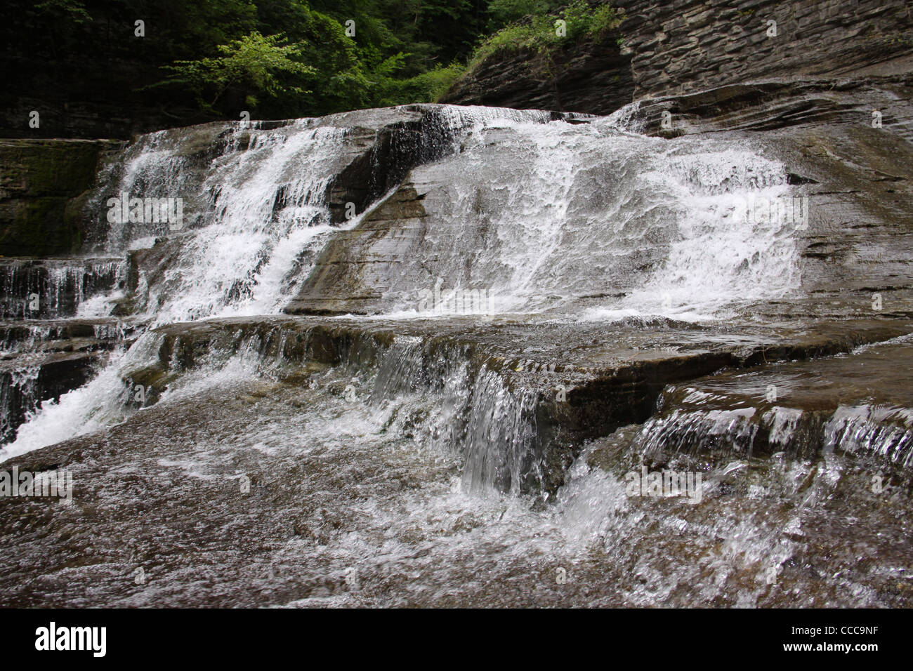 Treman state park hi-res stock photography and images - Alamy