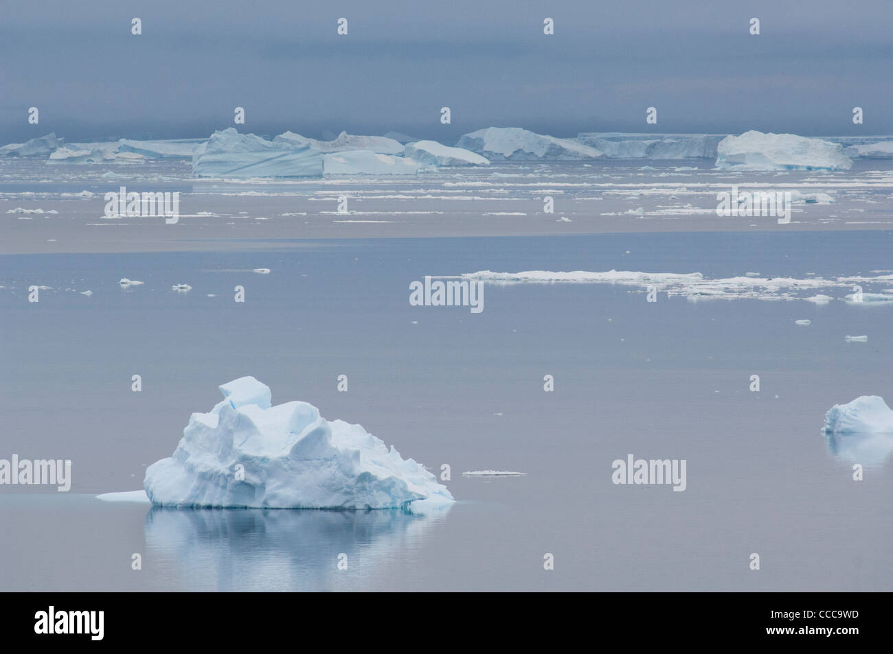 Antarctica, Antarctic Peninsula, Brown Bluff. Iceberg & bergy bits ice ...