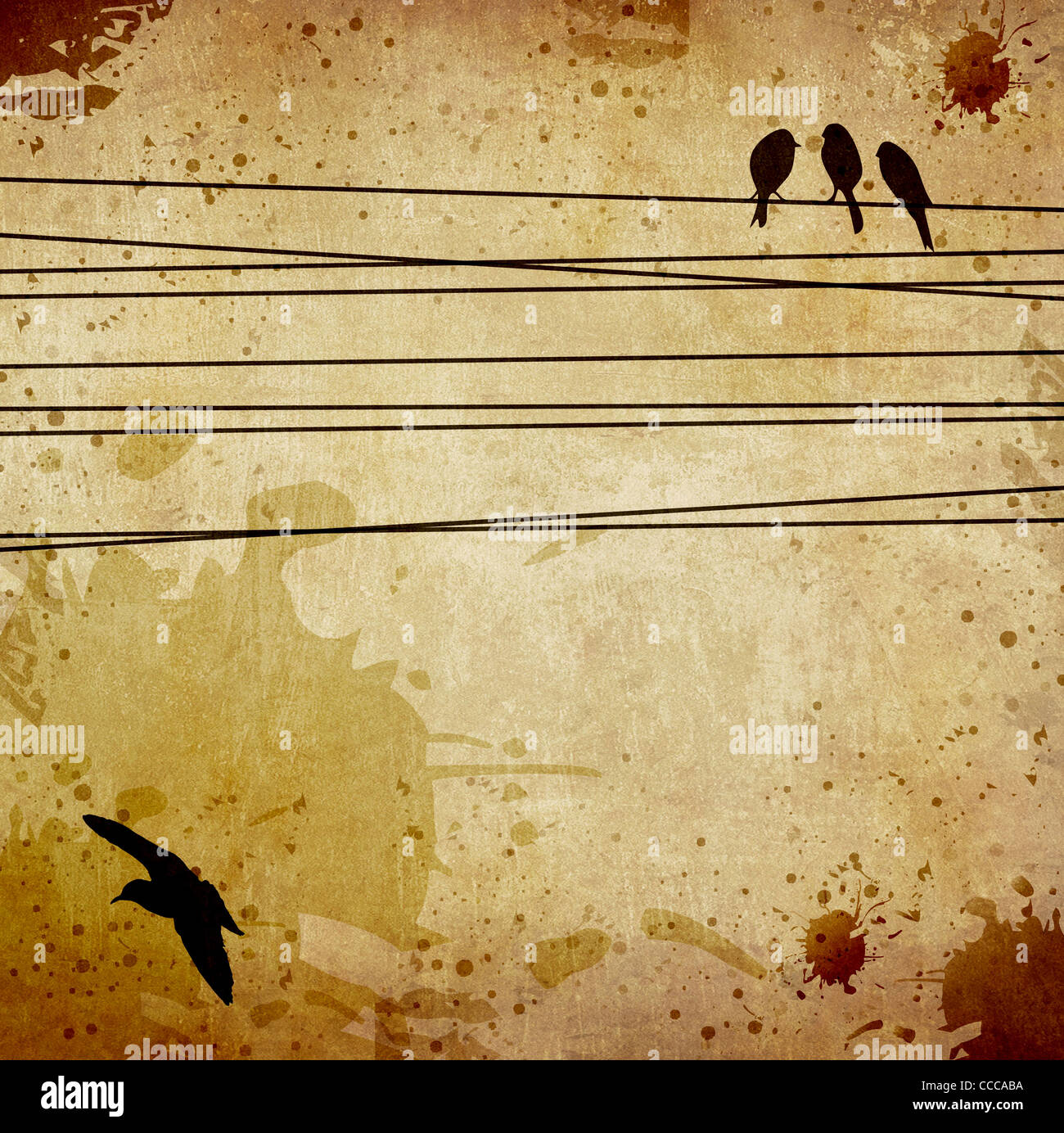 High contrast cables and birds in vintage background Stock Photo - Alamy