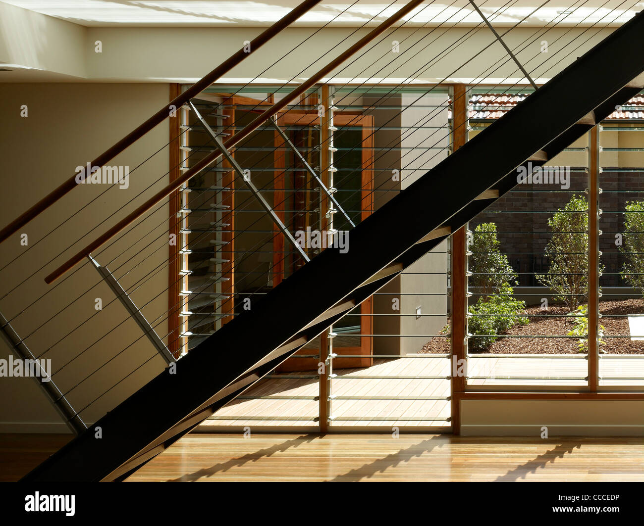 Peter manley hi-res stock photography and images - Alamy