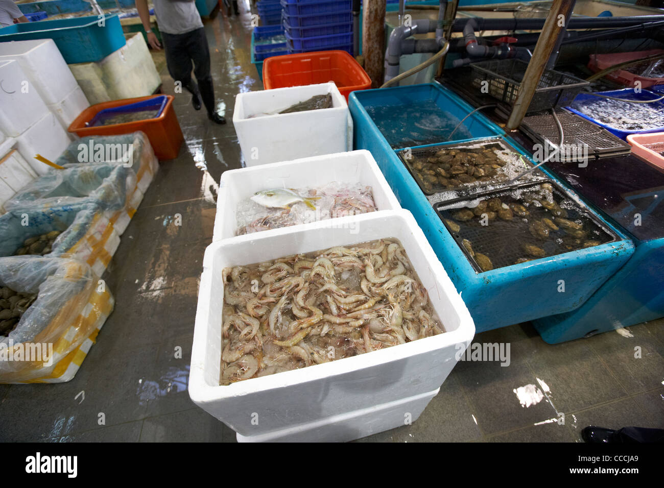 Prawn boxes hi-res stock photography and images - Alamy