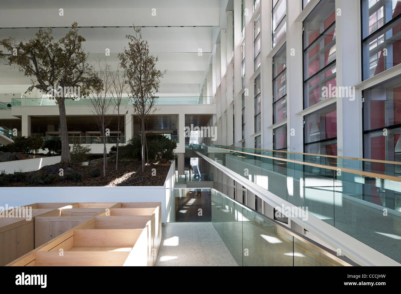 Museum Of Human Evolution, Burgos, Spain, 2010 Stock Photo - Alamy