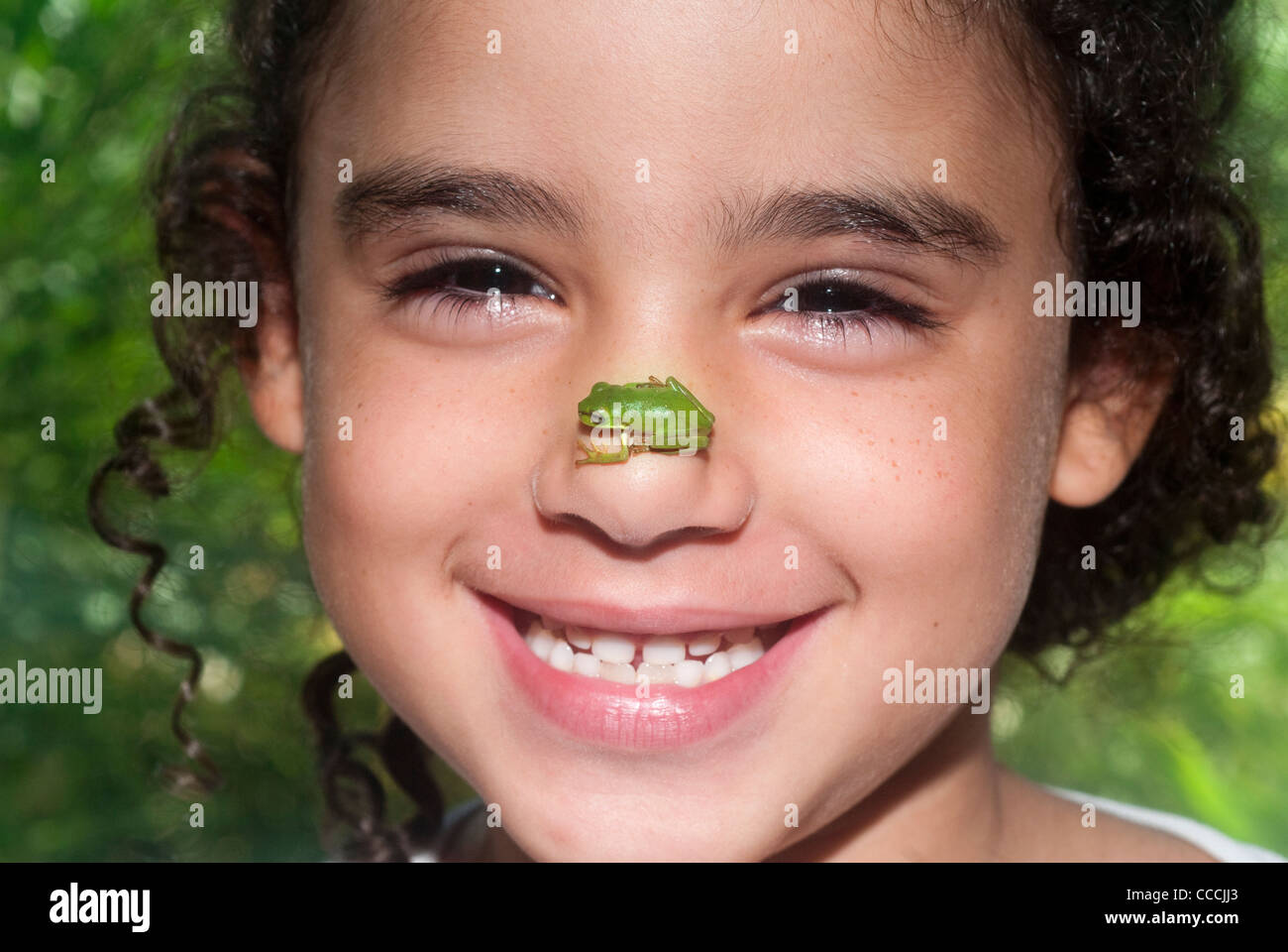 Young Girl with a Australian Green Tree Frog (Litoria caerulea) sitting ...