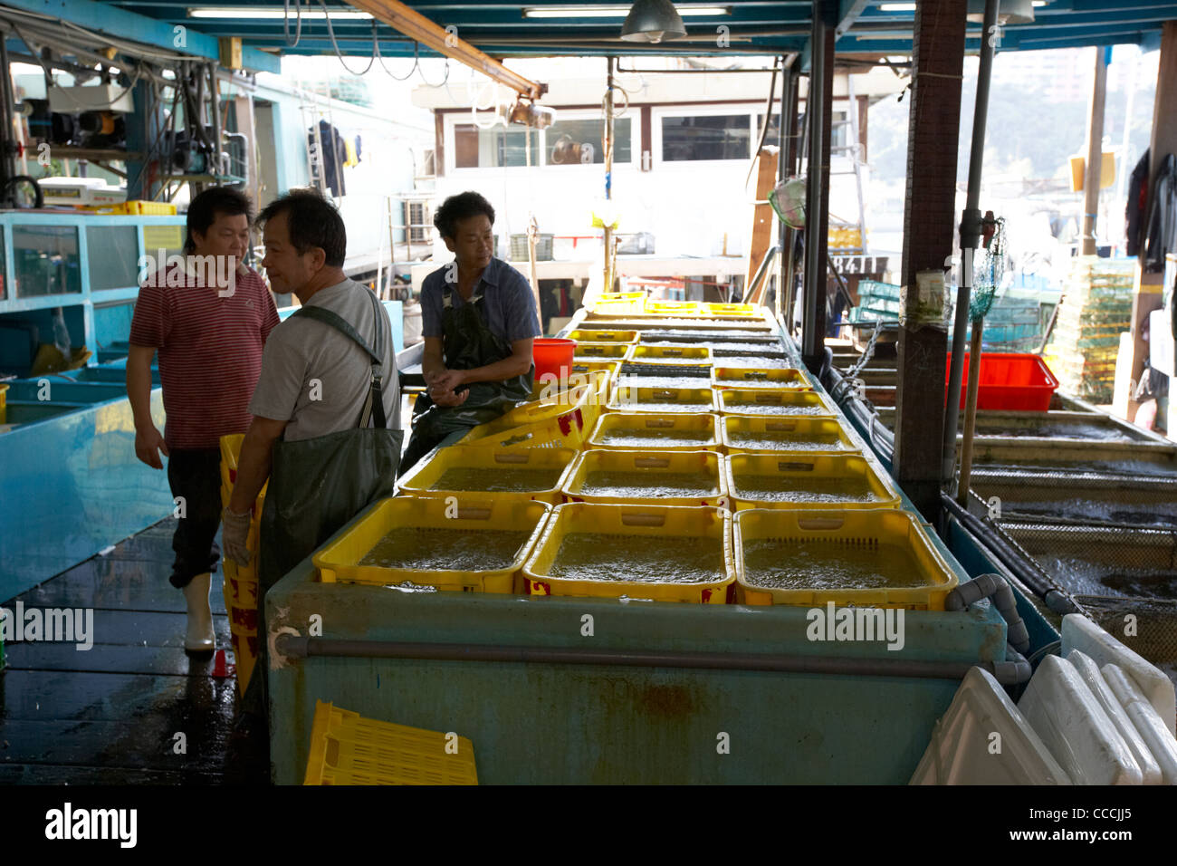 Aberdeen Wholesale Fish Market Stock Photos & Aberdeen Wholesale Fish ...