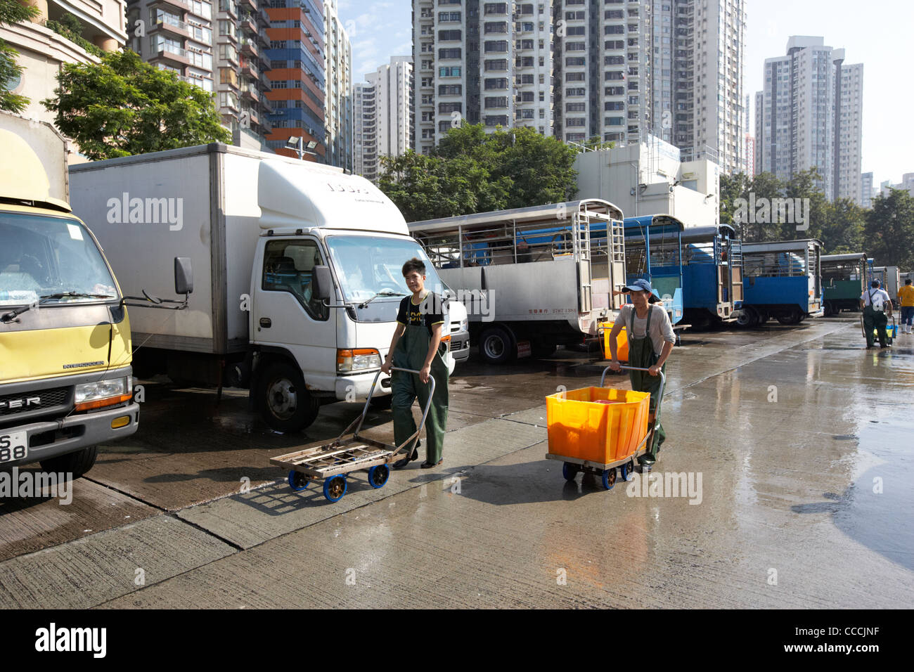 workers loading cartons of fresh fish and seafood into transport vans ...