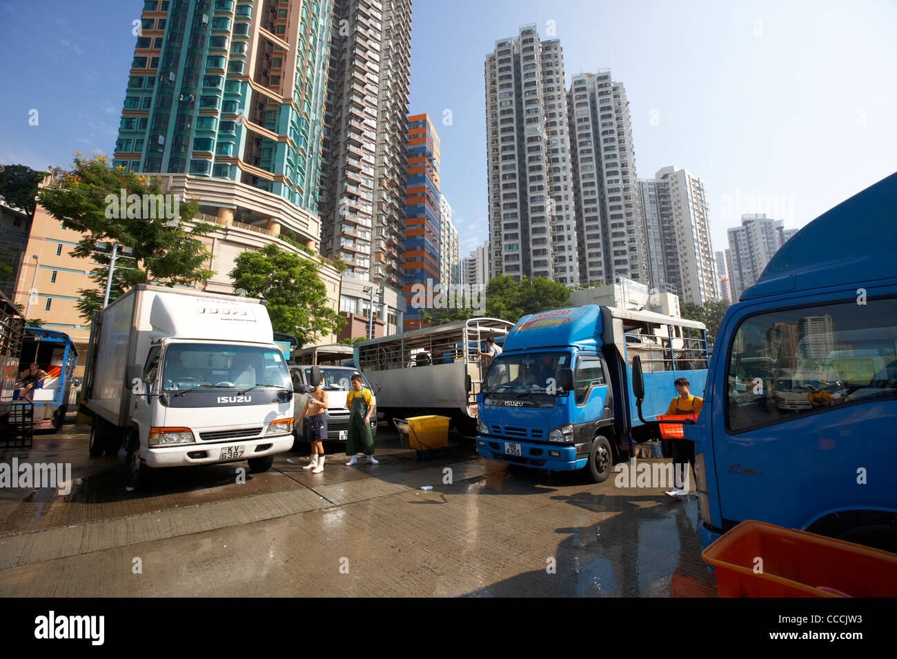 fresh fish and seafood transport vans and trucks for distribution ...