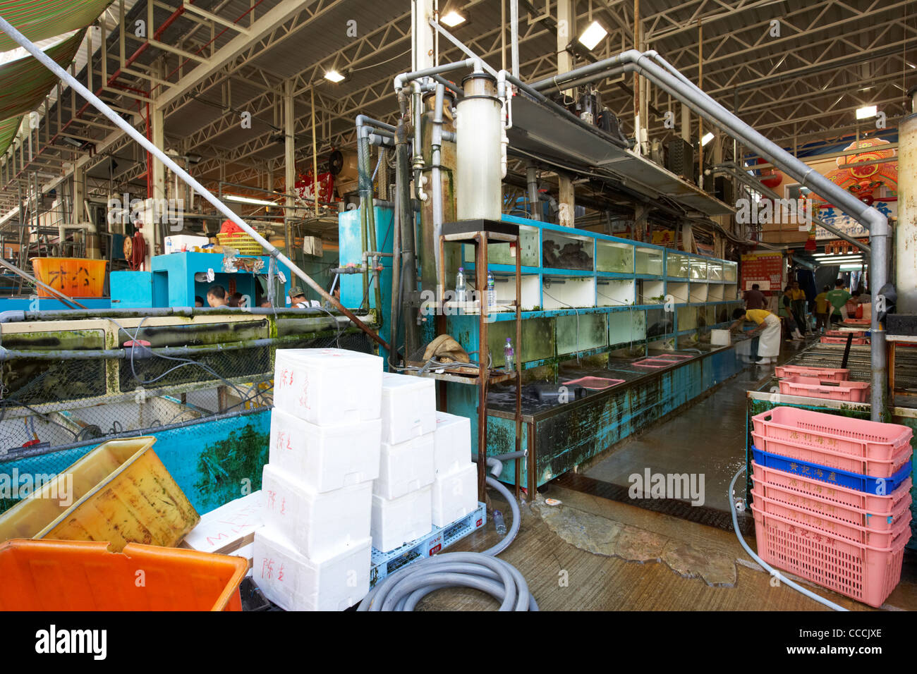 Aberdeen Wholesale Fish Market Stock Photos & Aberdeen Wholesale Fish ...