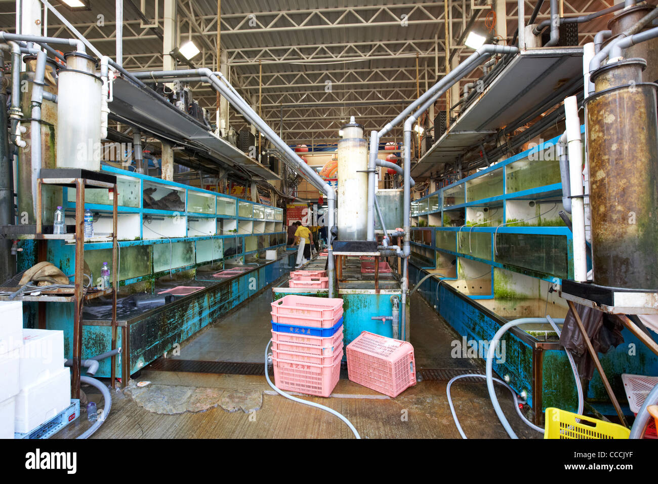 Seafood distribution hi-res stock photography and images - Alamy