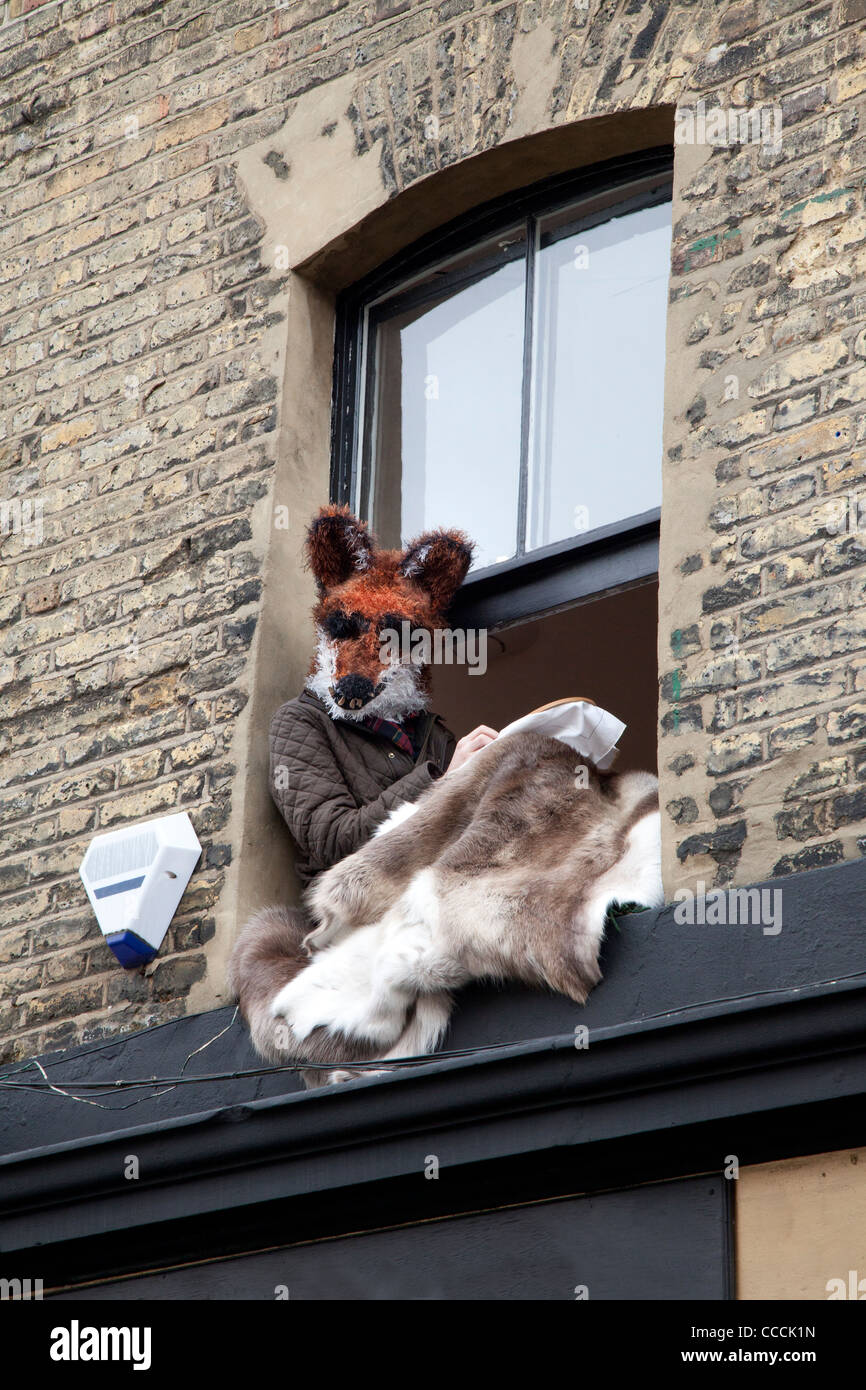 Wolf sewing in a window Stock Photo - Alamy