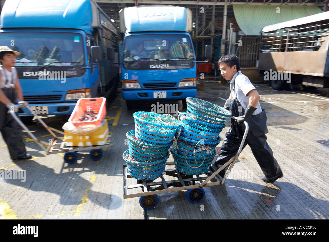 workers loading cartons of fresh fish and seafood into transport vans ...