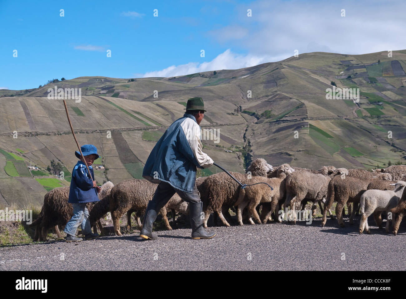 Sheep Herder High Resolution Stock Photography and Images - Alamy