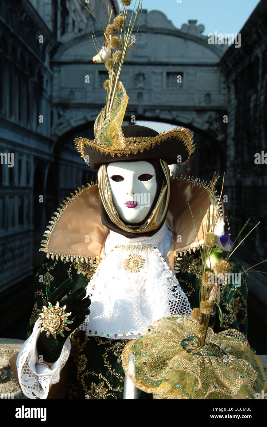 Venice Carnival, costumes and masks Stock Photo - Alamy