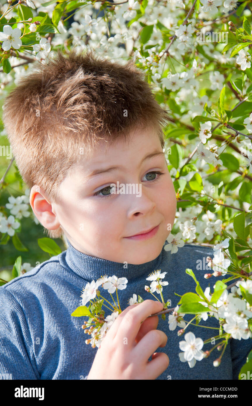 boy portrait blossoms spring Stock Photo - Alamy