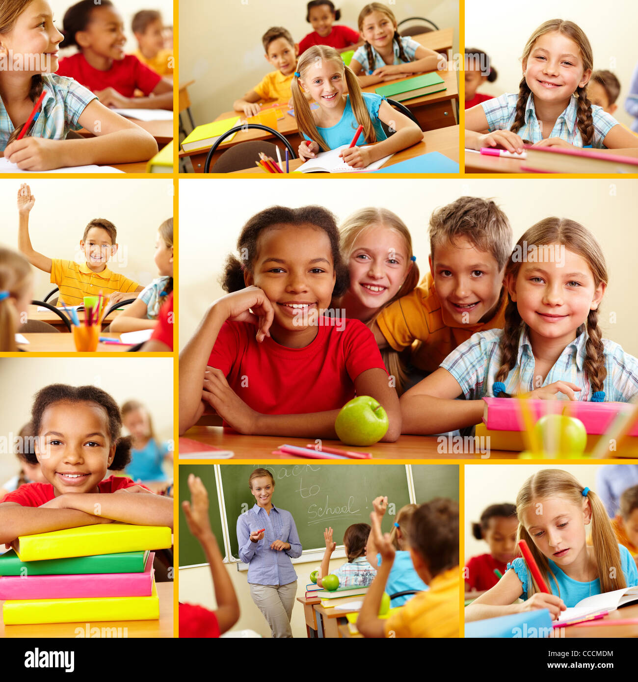 Collage of smart schoolchildren at school Stock Photo - Alamy