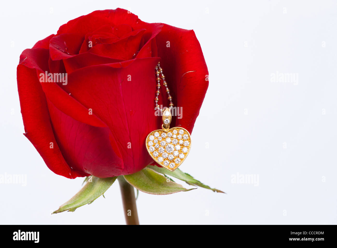 Diamond heart shape pendant and red rose Stock Photo - Alamy