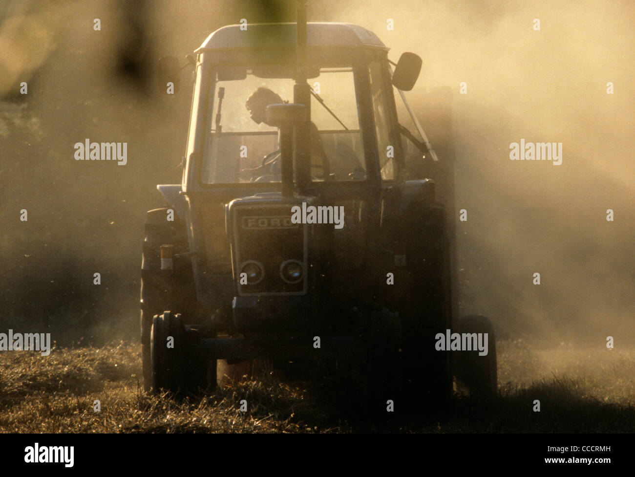Harvest Time, north Essex, England. 1976 circa Stock Photo - Alamy