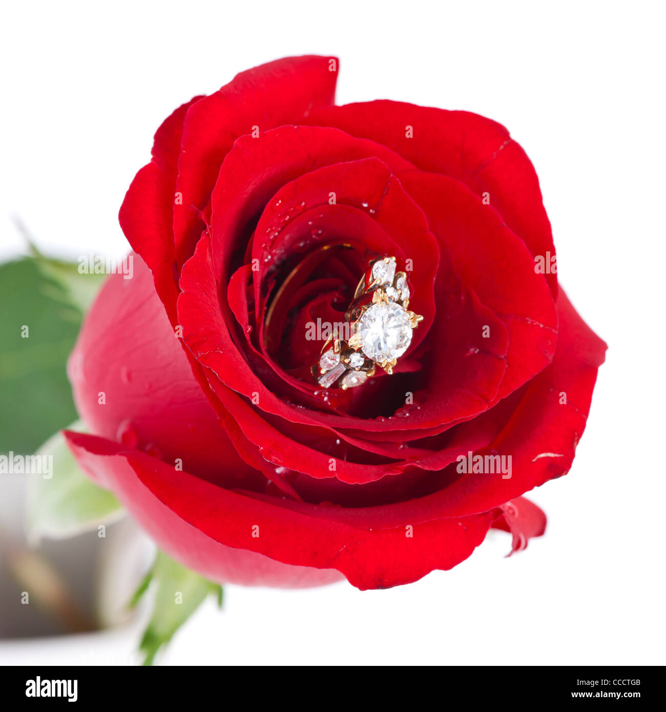 Golden diamond ring and rose Stock Photo - Alamy