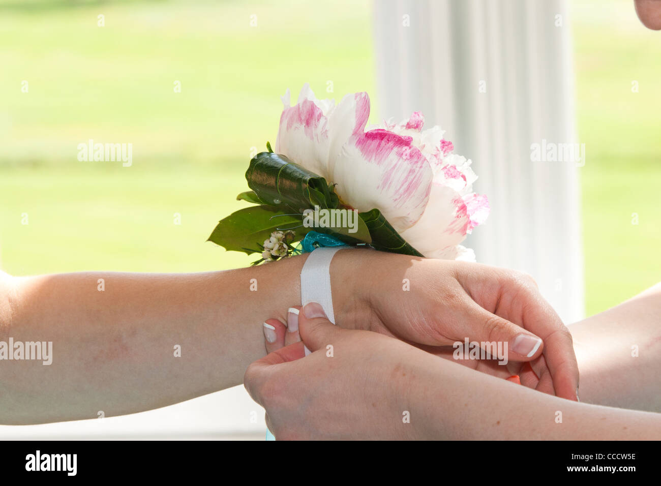 Wedding Button Hole Stock Photo - Alamy