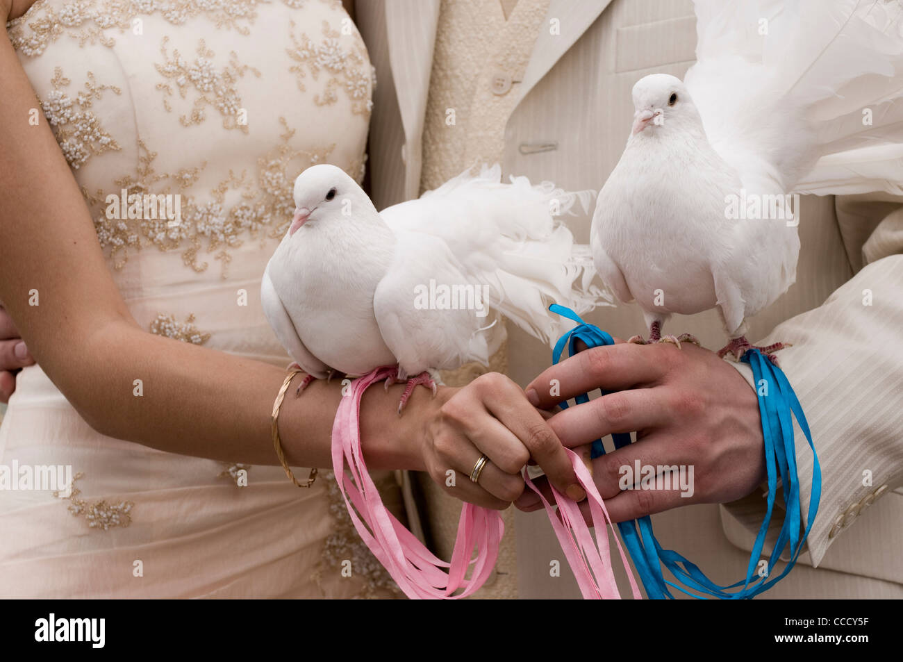 Newlywed couple holding two white doves on their hands as a symbol of ...
