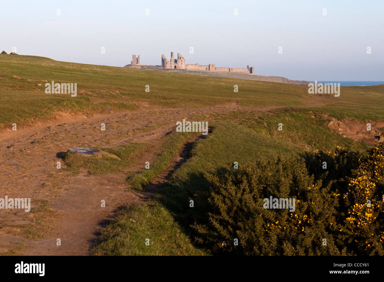 Dunstanburgh Castle.An iconic castle ruin, once one of the largest and ...