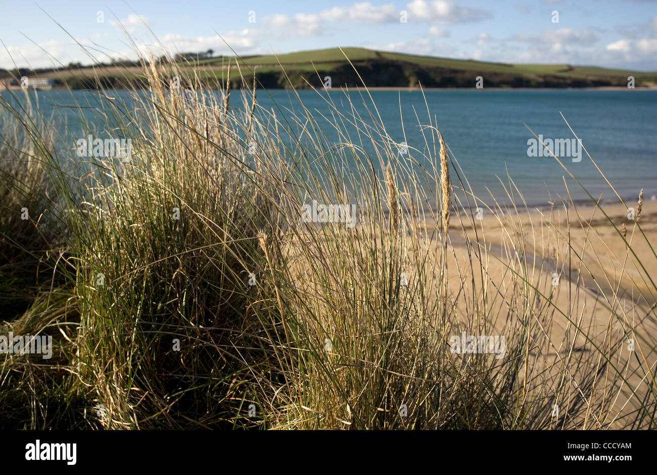 The mouth of the River Camel seen from Rock, Cornwall Stock Photo - Alamy