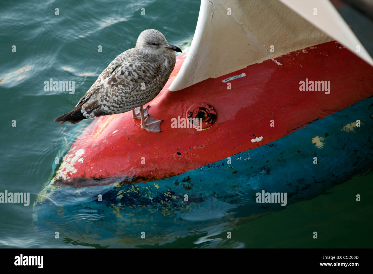 Hull stands hi-res stock photography and images - Alamy