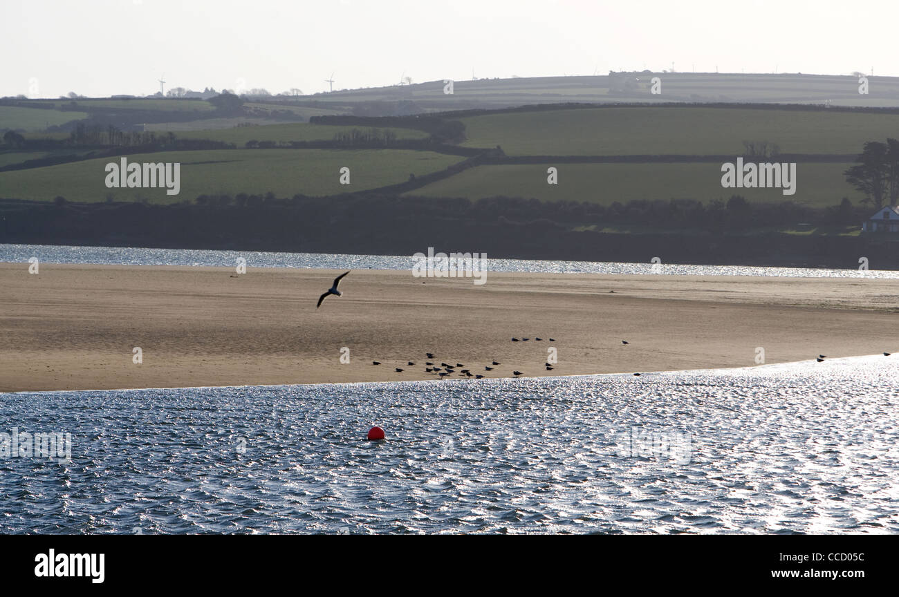The River Camel estuary at Padstow, Cornwall Stock Photo - Alamy