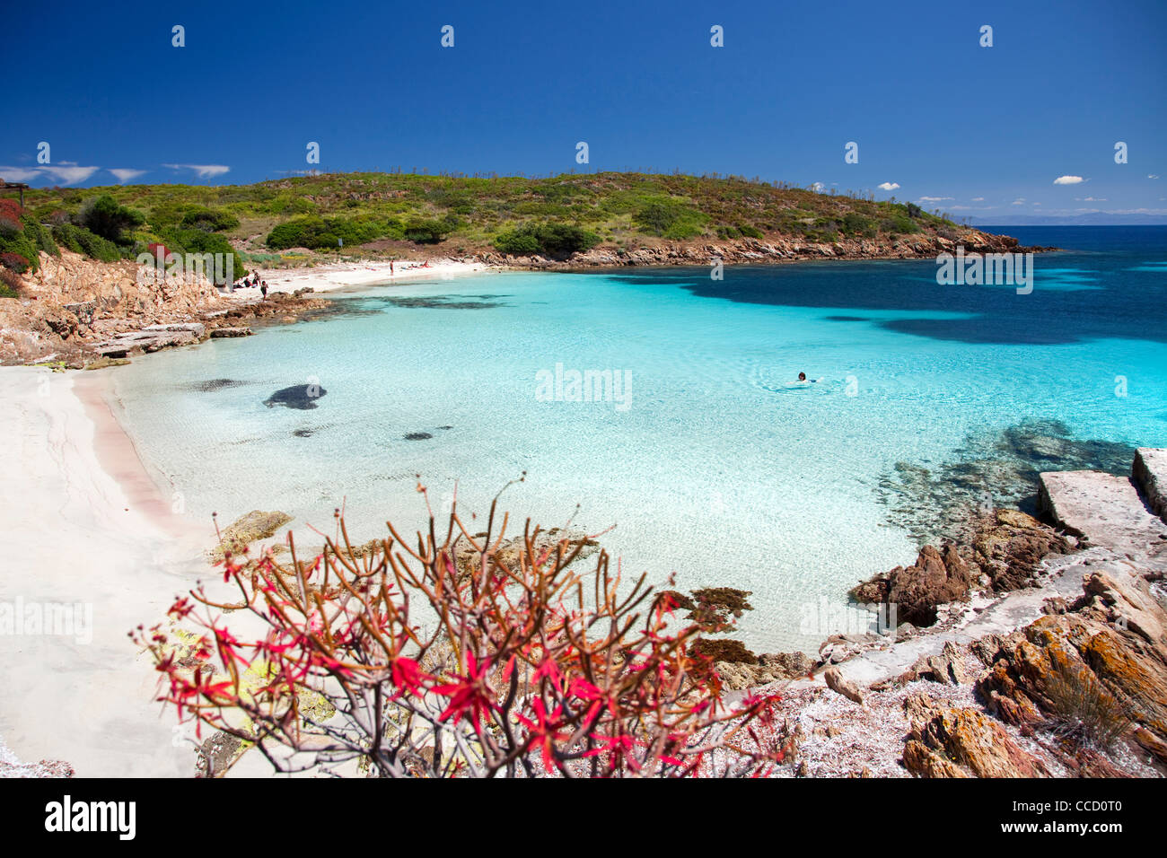 Cala Ponzesi beach, Cala Sabina, Asinara island, Porto Torres Stock ...