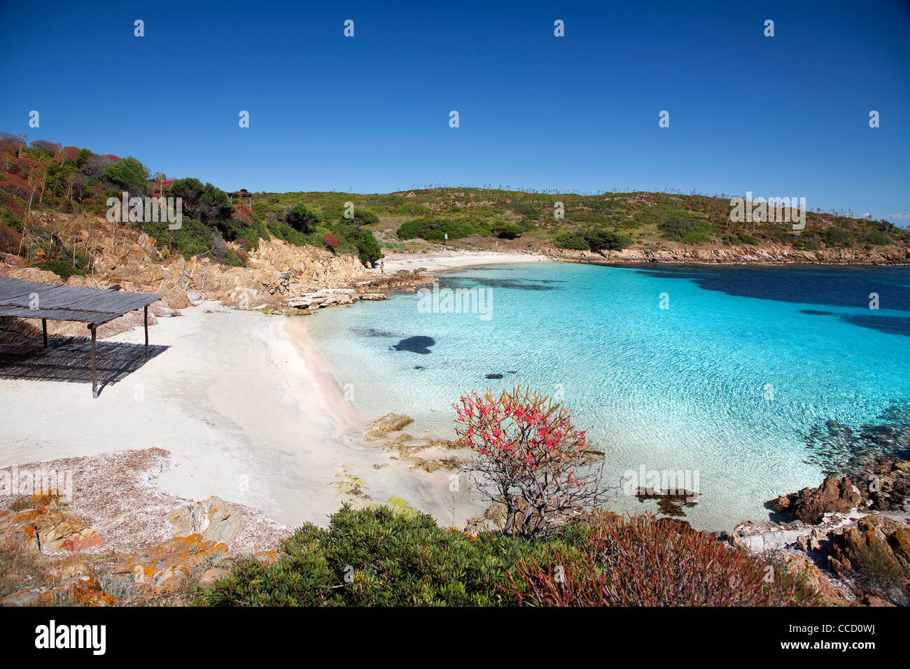 Cala Ponzesi beach, Cala Sabina, Asinara island, Porto Torres, Sardinia ...