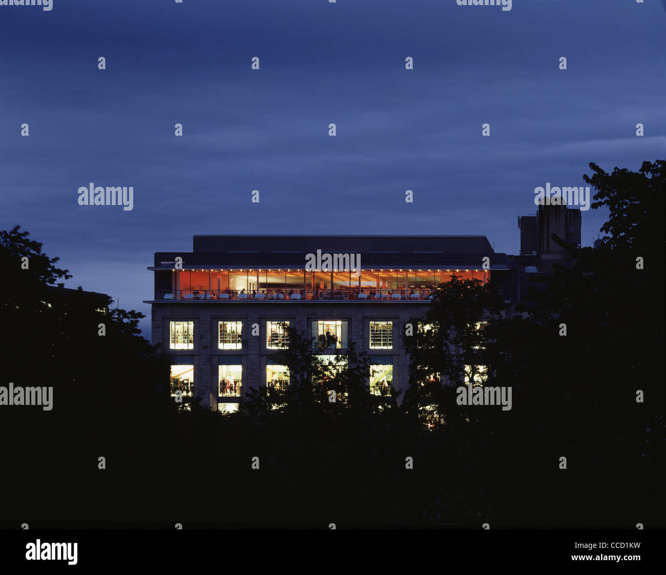 HARVEY NICHOLS RESTAURANT VIEW ACROSS TREE TOPS AT TWILIGHT Stock Photo ...