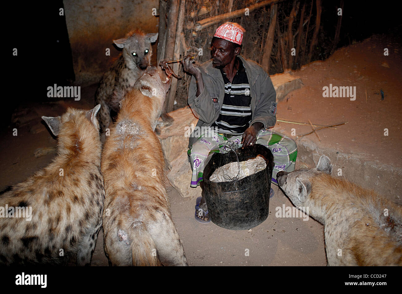 Hyena man hi-res stock photography and images - Alamy