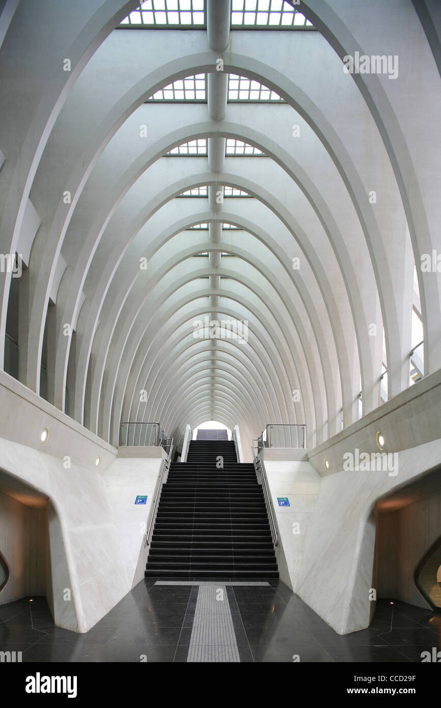 liege guillemins tgv station santiago calatrava liege 2009 interior ...
