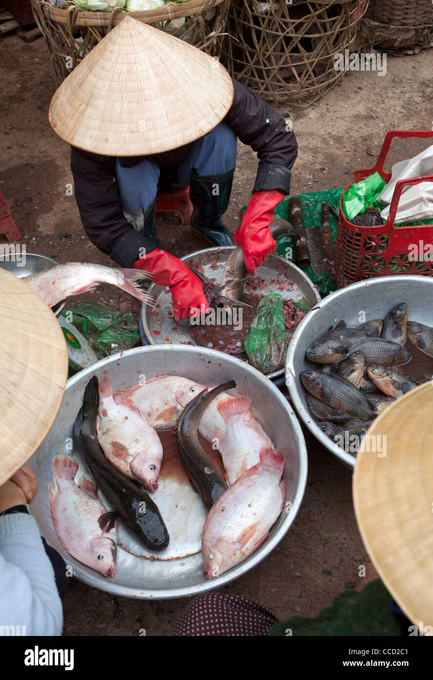 Fish Stall at Central Market Dalat Vietnam Stock Photo - Alamy