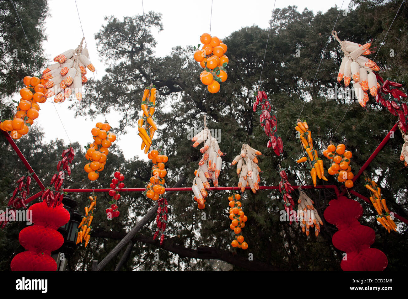 Beijing, DiTan Park (Park of the Temple of the Earth). Chinese New Year ...