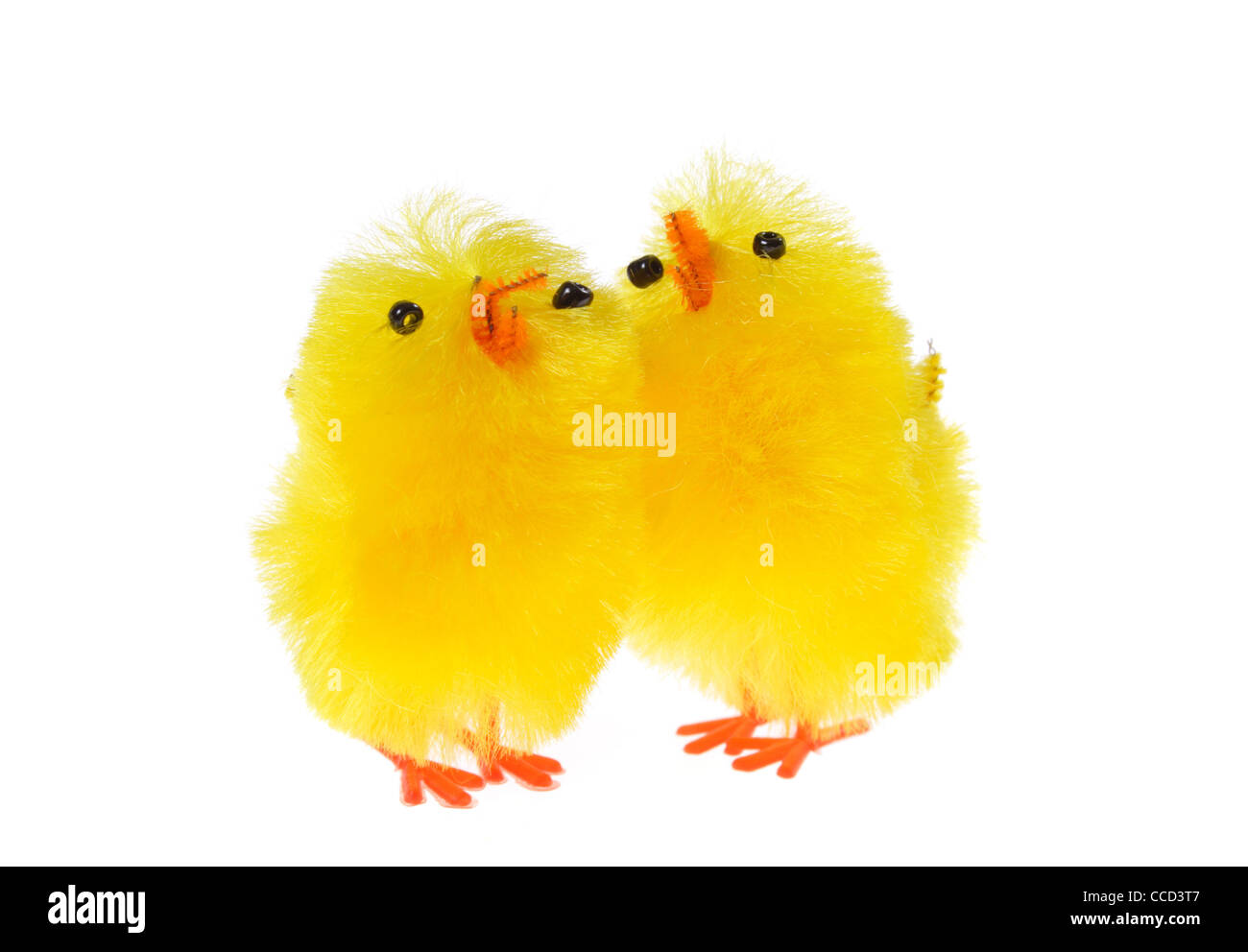 yellow chicklings photo on the white background Stock Photo - Alamy