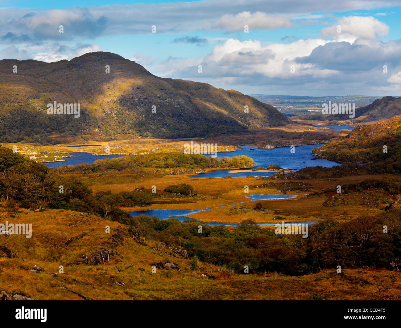 Ladys Stock Photos & Ladys Stock Images - Alamy