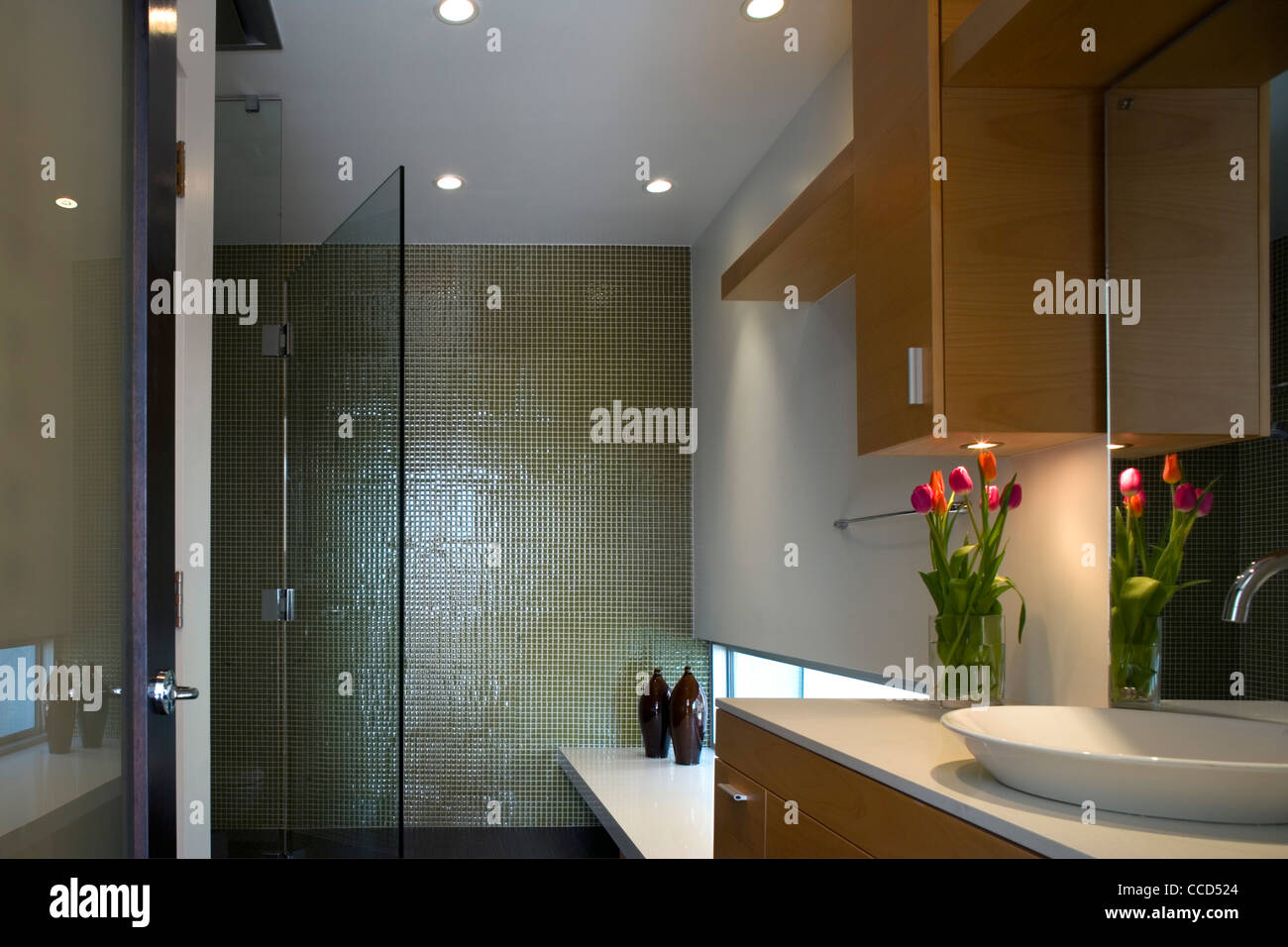 CHARLES DEBBAS ARCHITECTS, DEBBAS HOUSE OAKLAND, CALIFORNIA, 2010 Stock ...