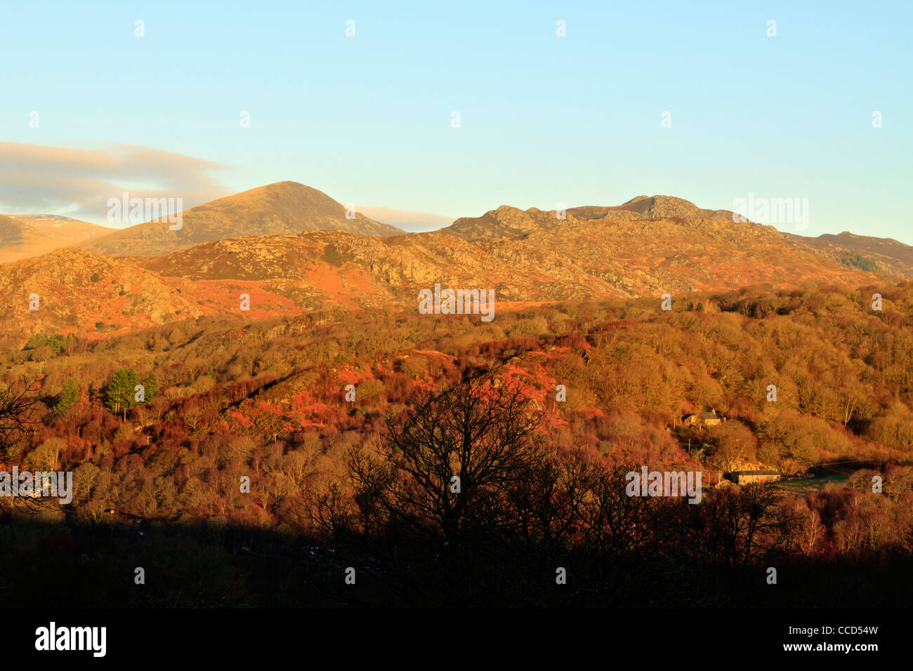 A view of Pen Llithrig Y Wrach from Capel Curig Stock Photo - Alamy