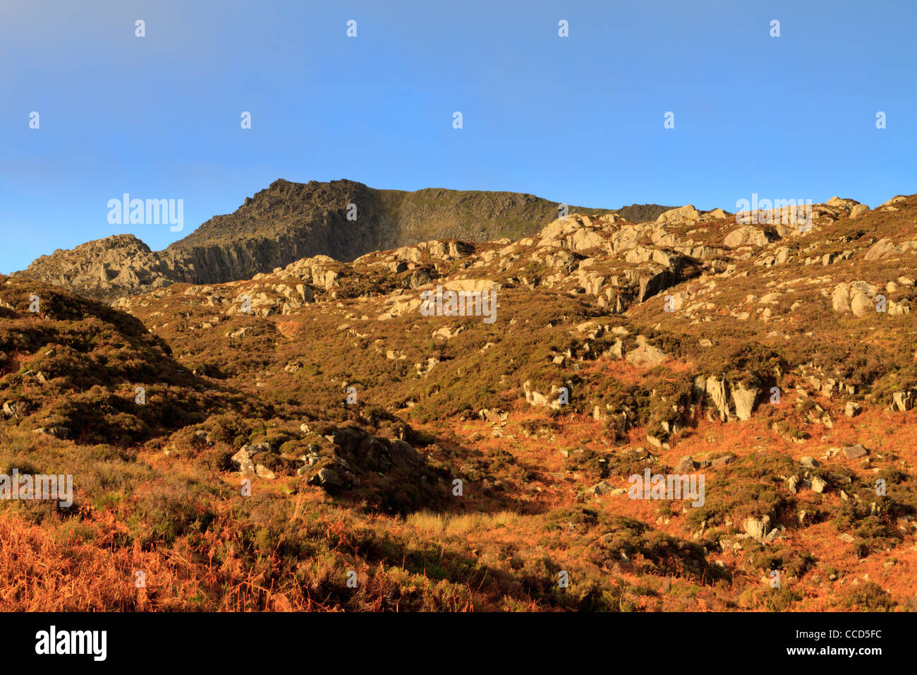 Looking up at the summit of Moel Siabod Stock Photo - Alamy
