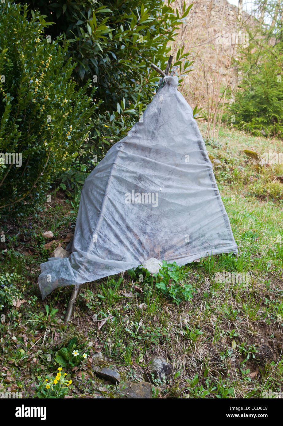 Nonwoven frost protection hi-res stock photography and images - Alamy
